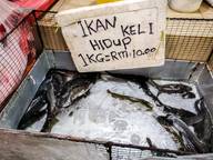 The making of budu, our underrated condiment: A spotlight on budu ...